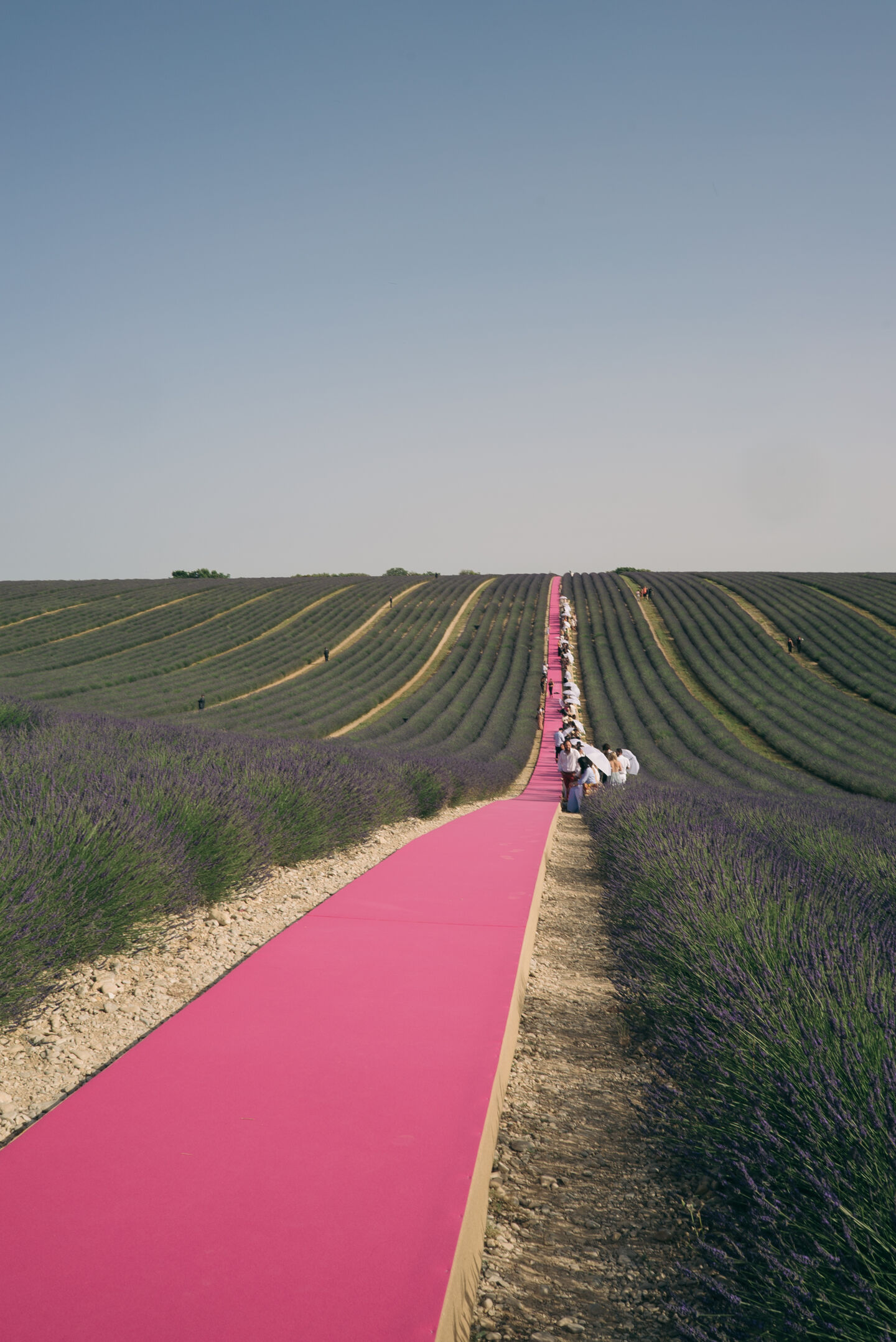 Collections and Shows | Jacquemus