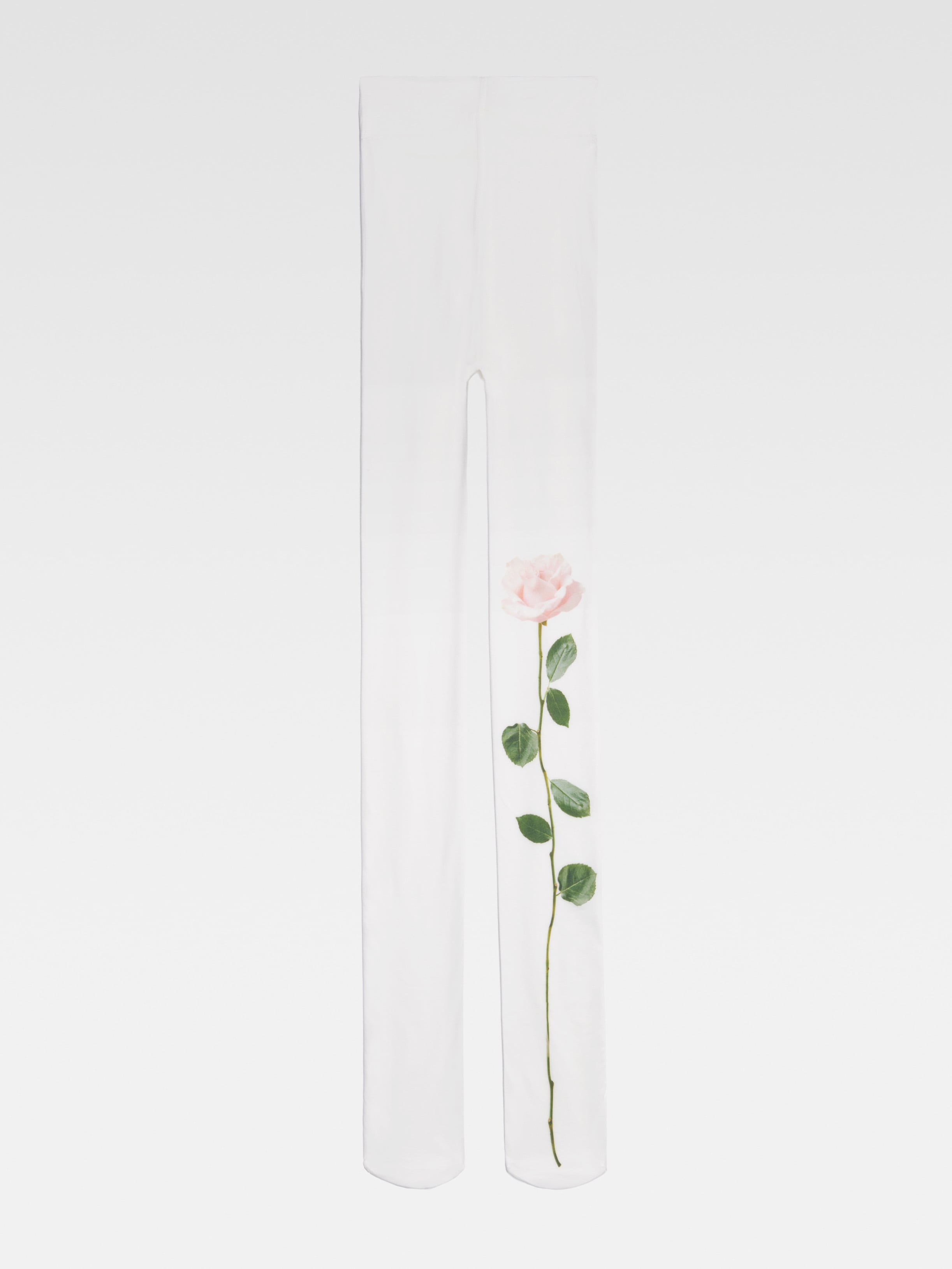 Les collants Rosa by JACQUEMUS | Official website